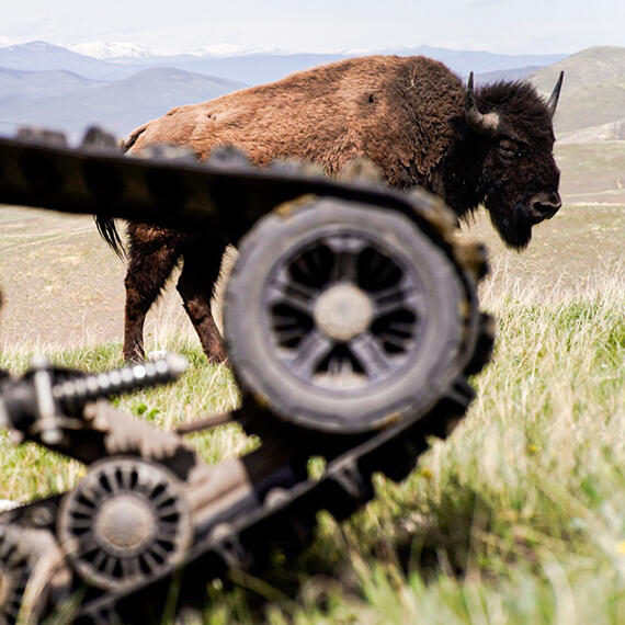 Off-the-road Tires, Tracks and Tracks Systems manufacturer | Camso